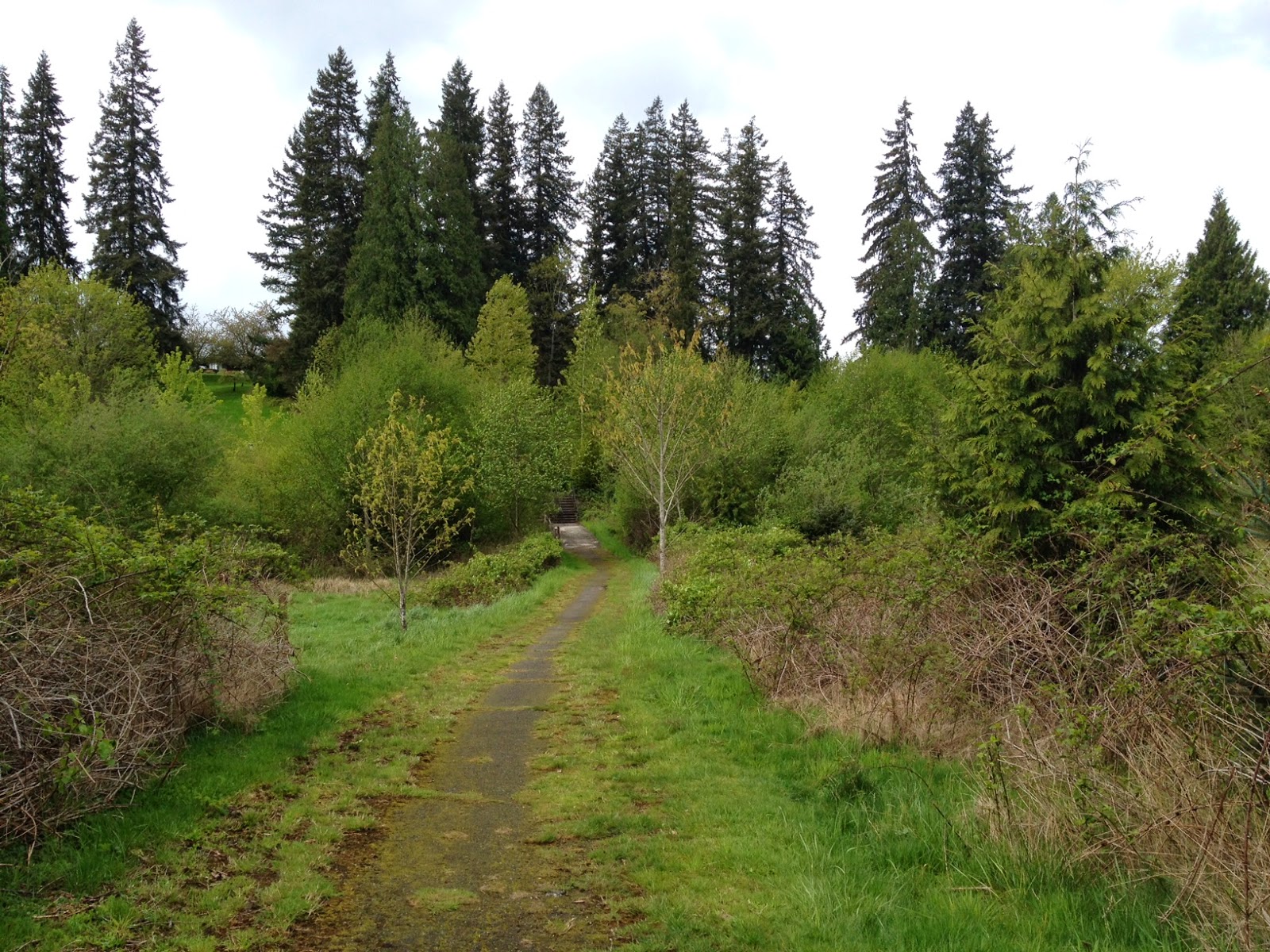 The Pacific Northwest Casual Cyclist: The East Plateau Trail: Trail to ...