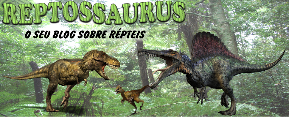 Reptossaurus: Anatomia e evolução dos Dinossauros - Parte II