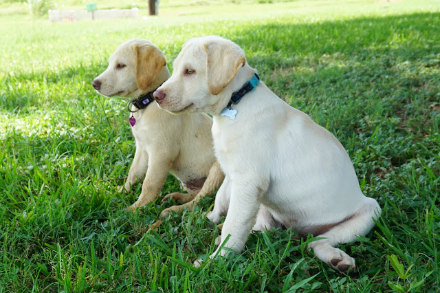 * Little House in the Country: Byyeeeee Summerrrrrrr!