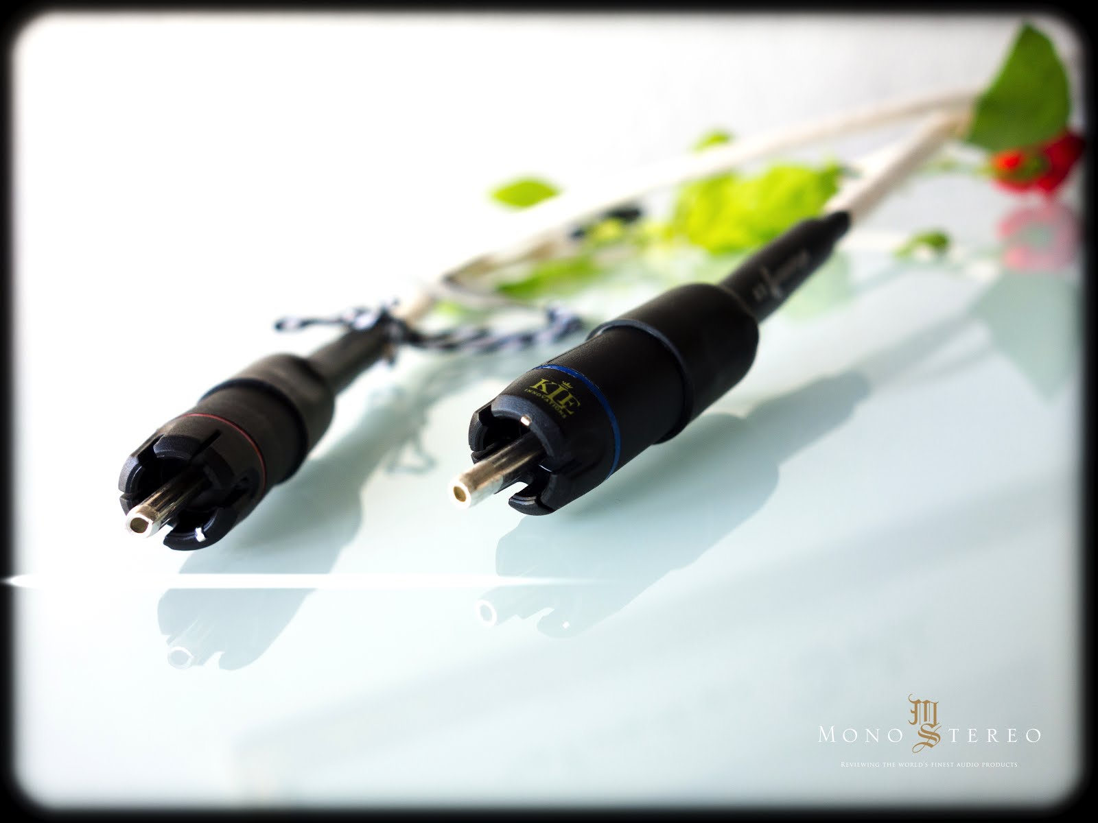 MadScientistAudio HDC Digital Cable review – M & S | Ultimate High-Fidelity