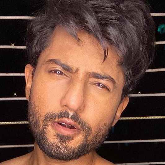 Rehaan Roy Wiki, Biography, Age, Girlfriend, Facts and More