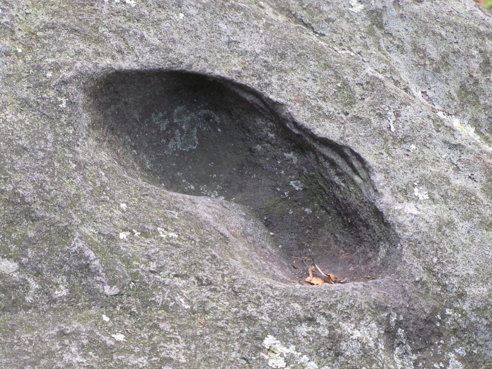 Wicked Yankee: The Devil's Footprint - Norton, Ma