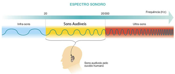 Laura Botelho: Infrassom, um catalisador de mudanças psicológicas