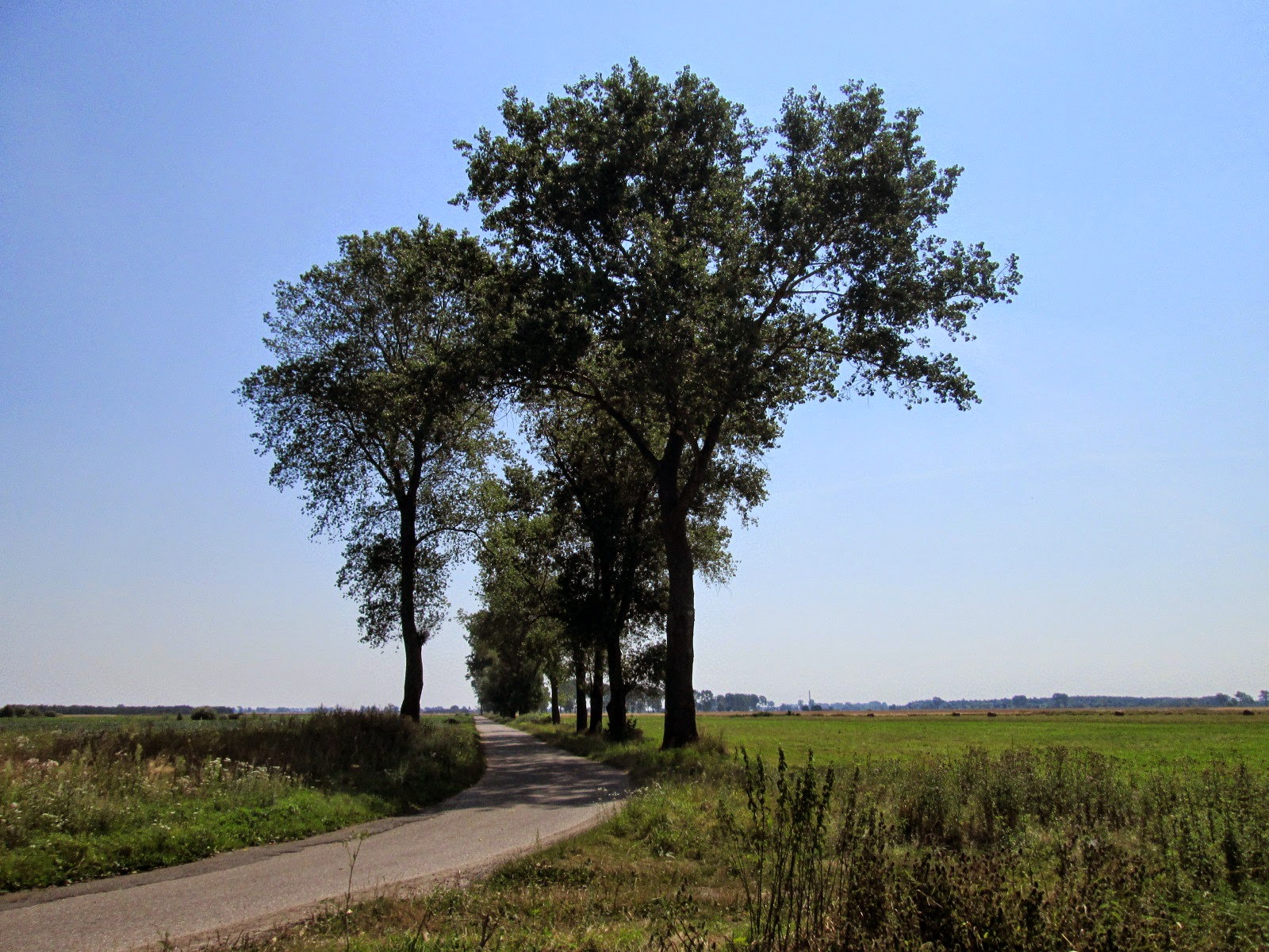 Mr SCOTT jedzie do... (-:: WYCIECZKA Nr 270 "Mazew i Daszyna"