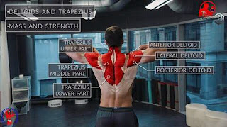 RAHASIA CARA LATIHAN TRAPS YANG BENAR - HEALTHY SMART