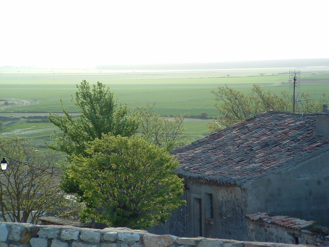 Histórico de Noticias de Baraona