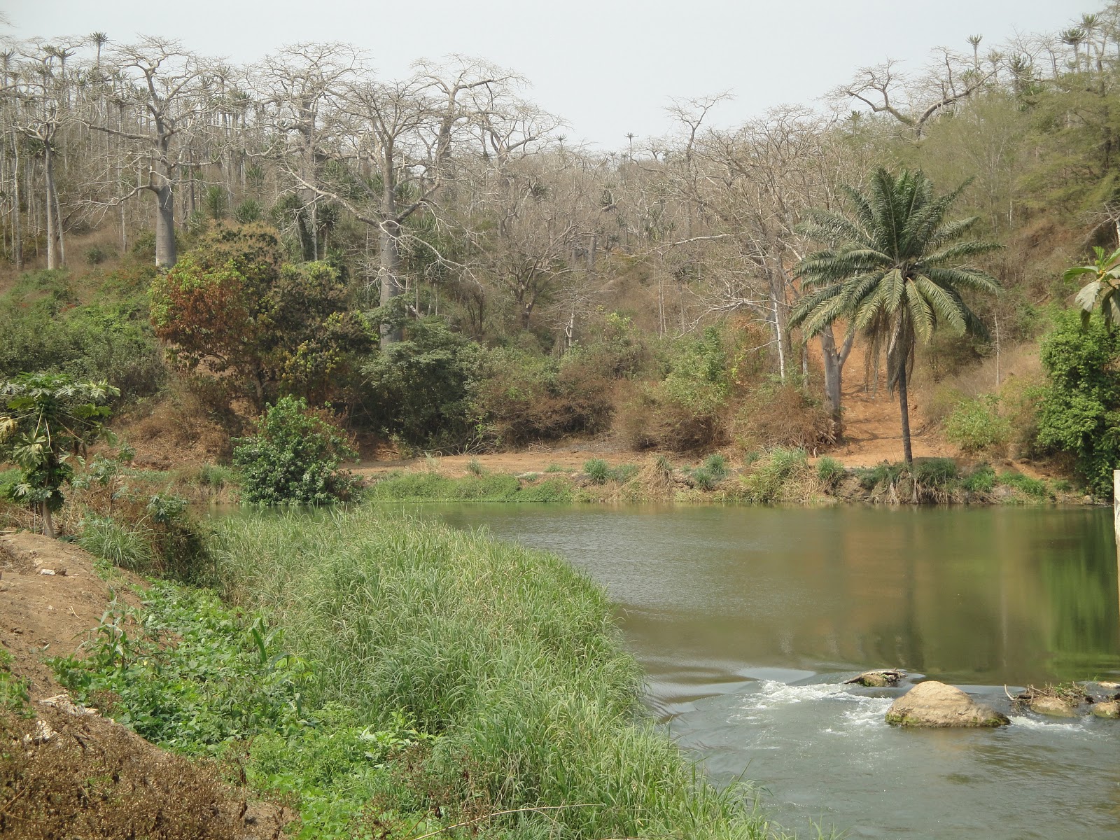 Lobito - Benguela - Angola: ==> *** Município da Catumbela