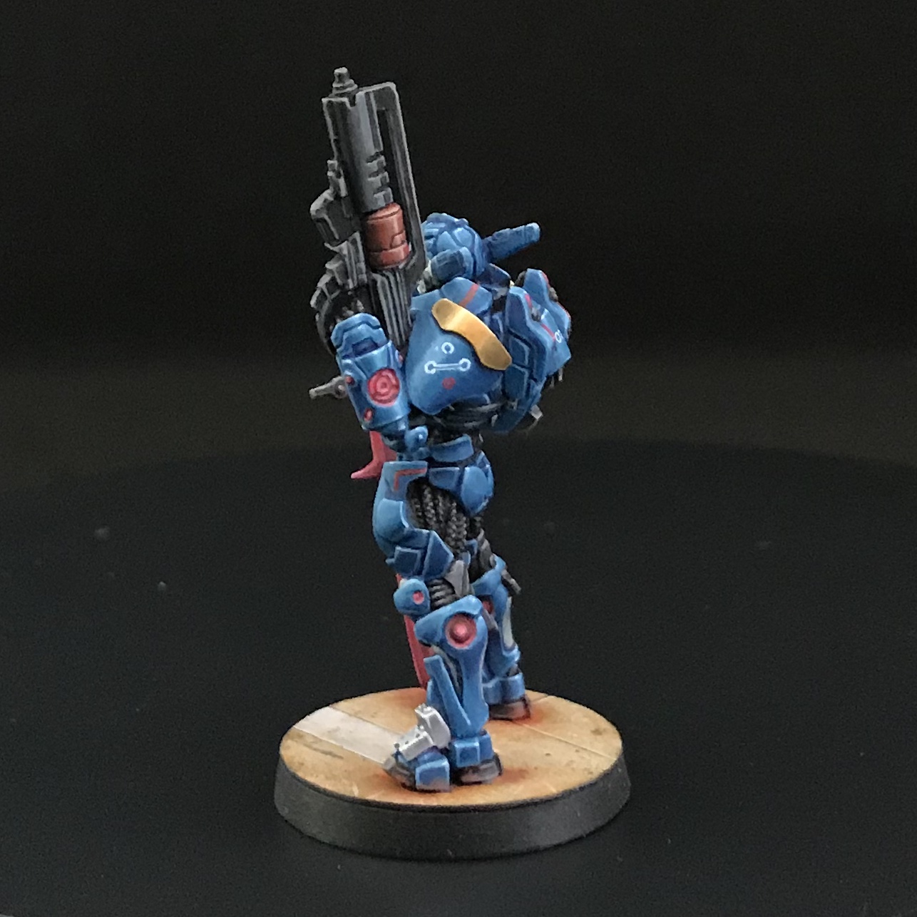 INFINITY PANOCEANIA: Swiss Guard (HMG)