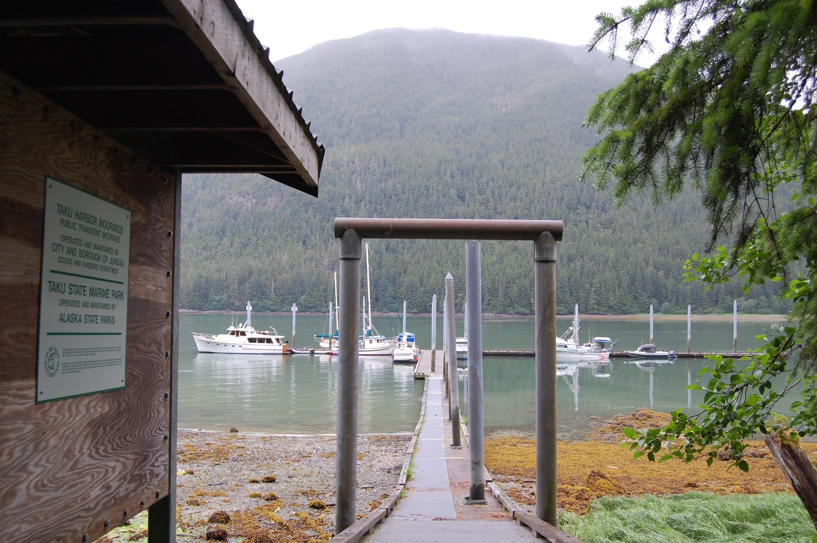 Adventure to Alaska!: Taku Harbor Marine Park 06.21.2013