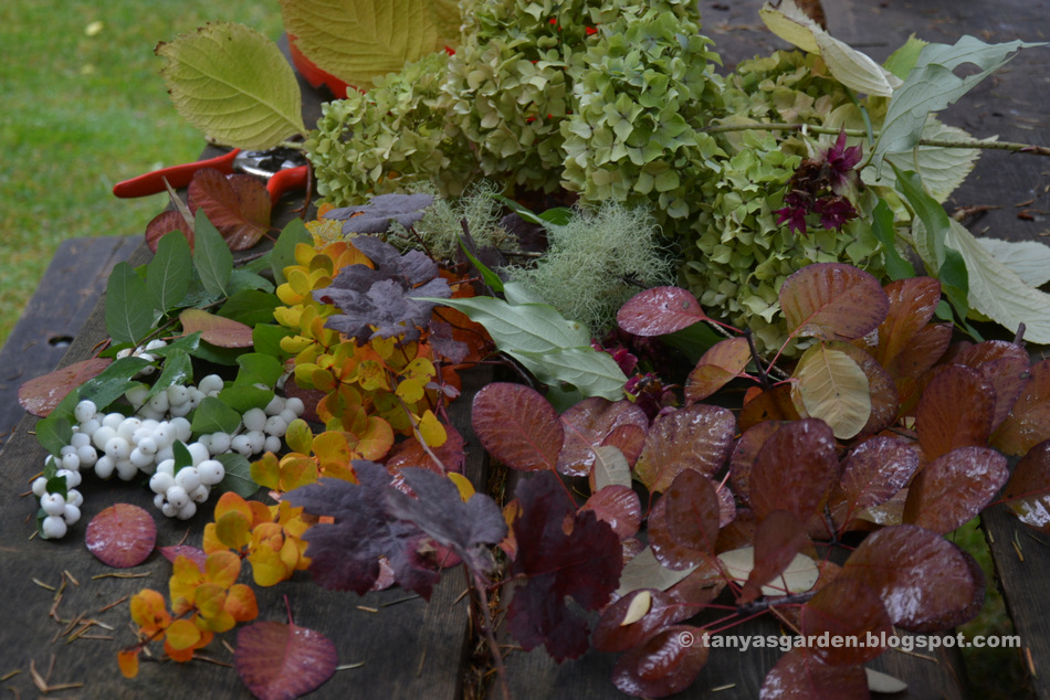 MySecretGarden: Fall Garden Snaps