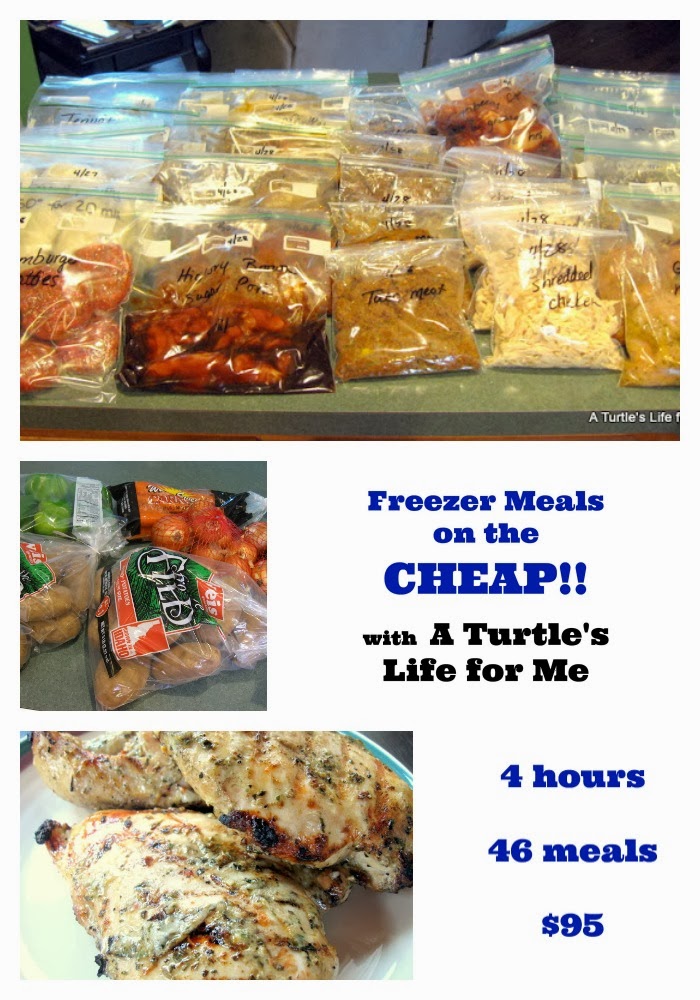 Freezer Meals - 46 Meals for Under $100
