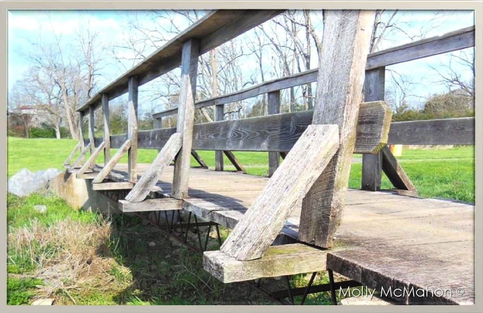 Lessons by Molly: Shapes in the Environment Photos