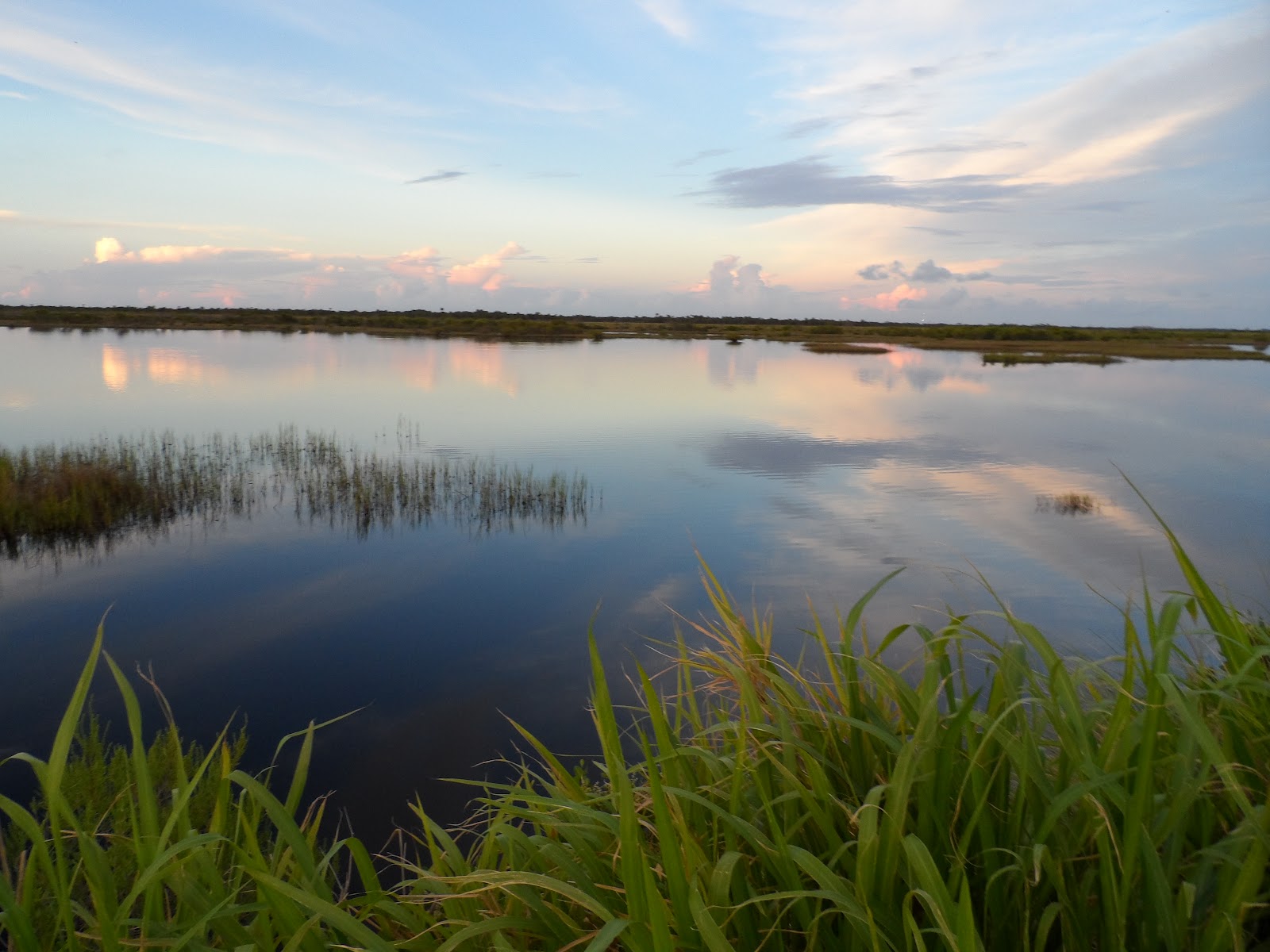 Mosquito Lagoon & Indian River Fishing: Salt Marsh Sea Trout
