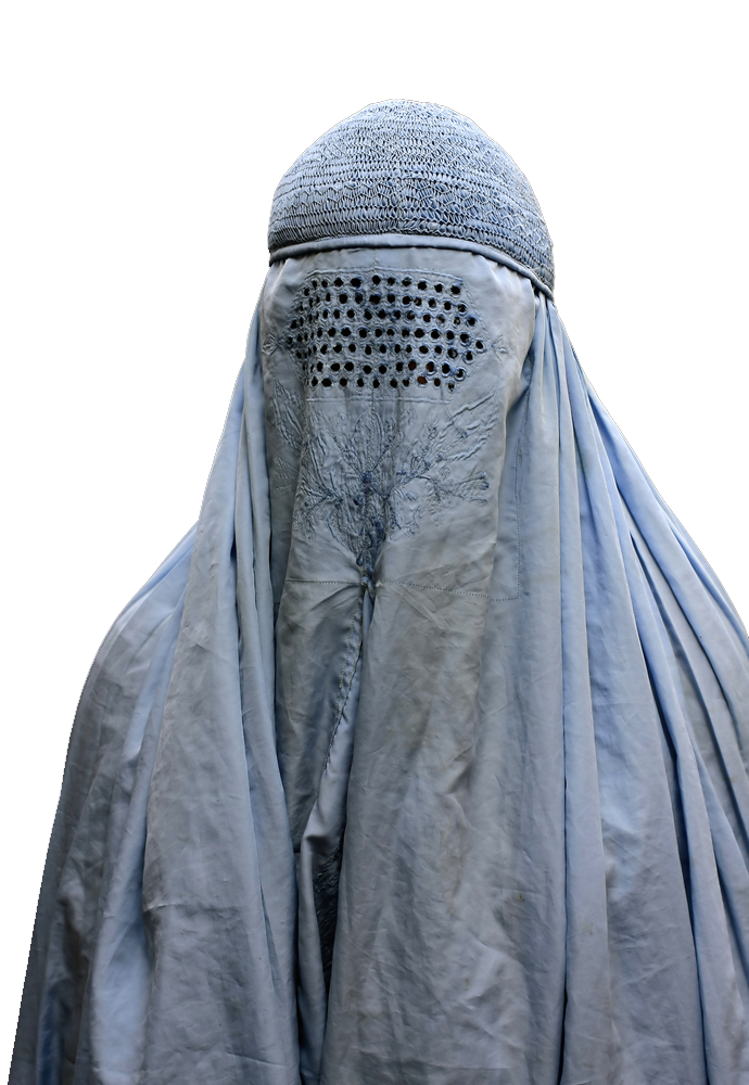 Penélope destejida: 2. Hermosa flor silente 3