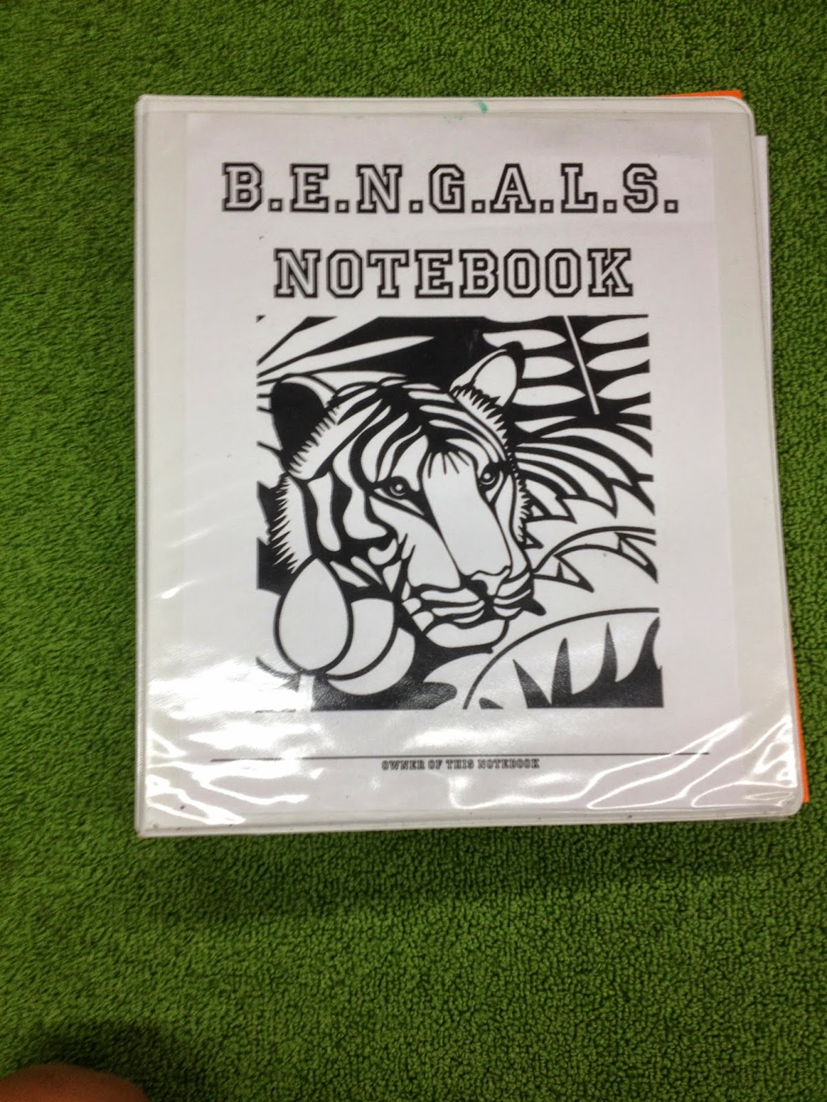 Teaching Has Spilled Into My Everyday Life: Student Binders