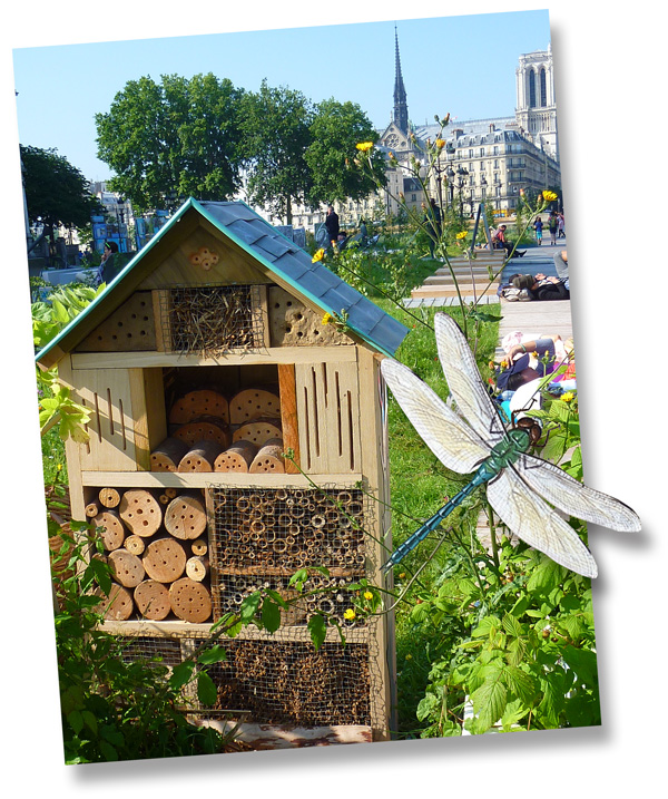 HOTELES PARA INSECTOS