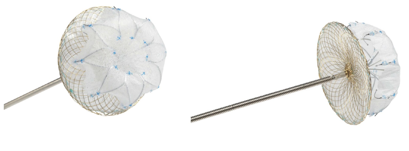 Global Medtech: LifeTech LAA Closure System gets CE approval