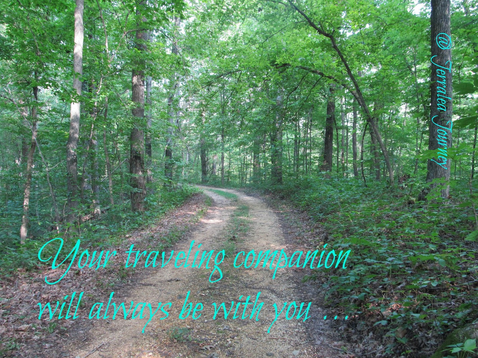 Jerralea's Journey: AmaZing Inseparable Love