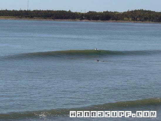 Cuttie in your face: November 2013