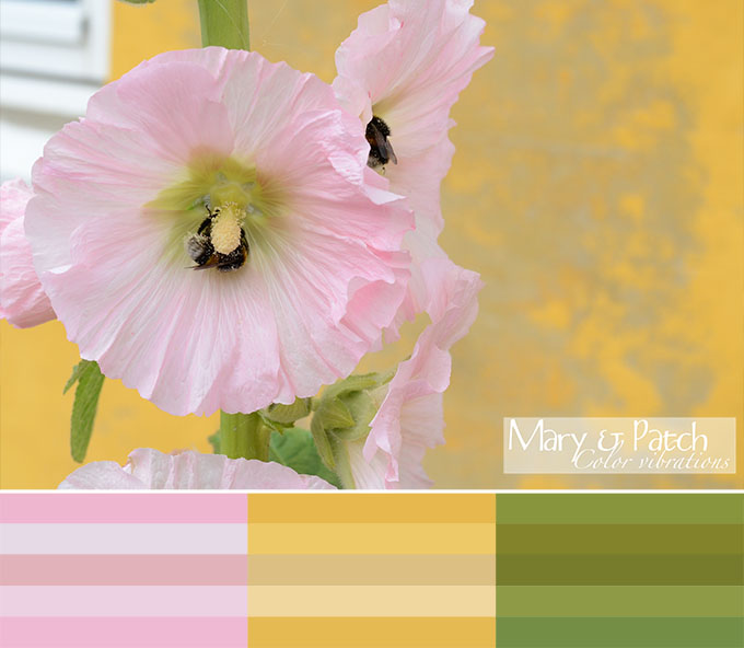 Color Vibrations 232 | Mary & Patch