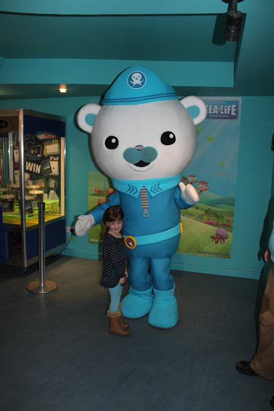 A-Team's Adventures Across the Pond and Beyond: Sea Life - Meet THE ...