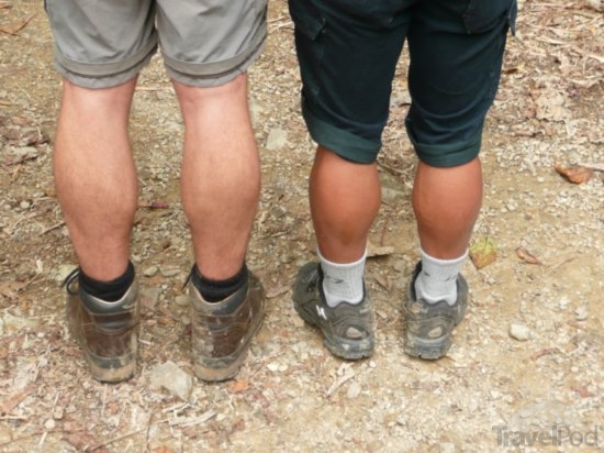 French Vocabulary Illustrated: mollet