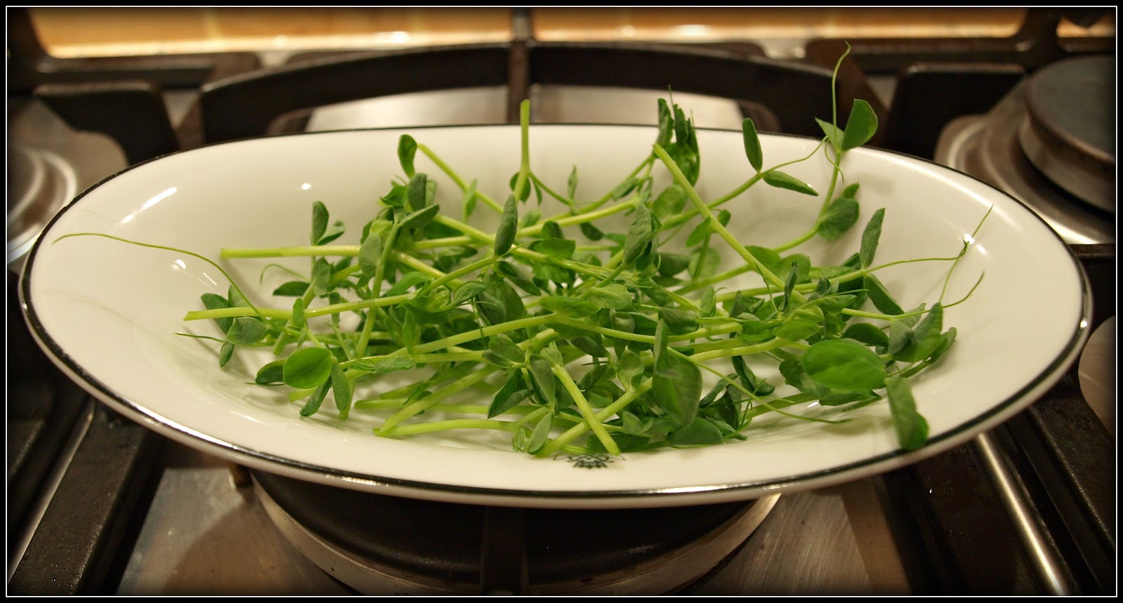 Mark's Veg Plot: Peashoot update