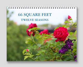 66 Square Feet (Plus): 66 Square Feet Calendar