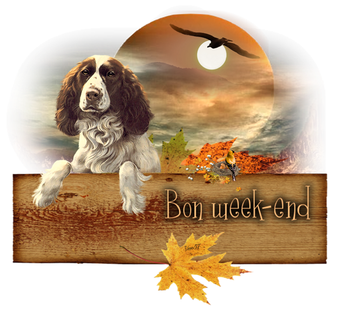 Mes créations pps et cartes virtuelles: Bon week-end