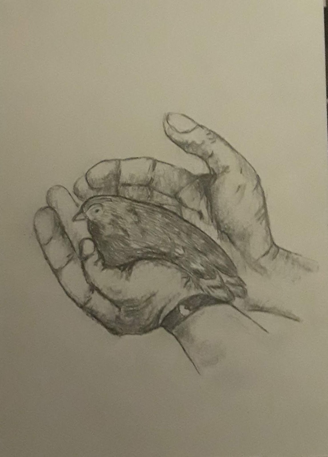 Tom Wagen's Art: Bird in Hand (Graphite Drawing)