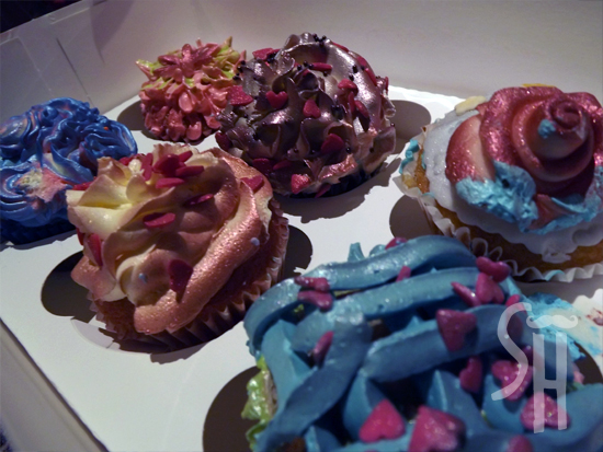 Sundance Hudson: Random | Deformed Cupcakes