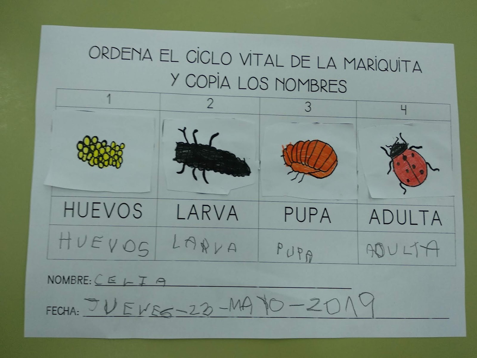 Juntos descubrimos el mundo: PROYECTO "LAS MARIQUITAS"