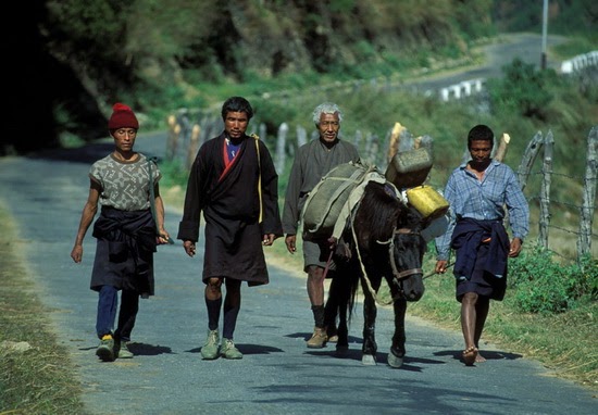 THE WORLD GEOGRAPHY: 10 Largest Countries Without Railroads