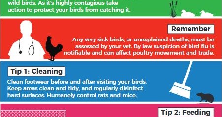 Avian Flu Diary: UK: DEFRA Warns Of `Constant Risk' From Avian Flu