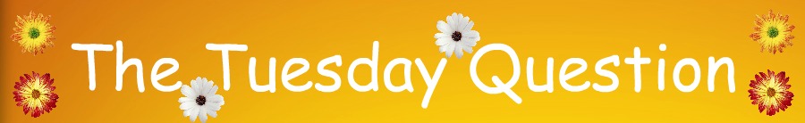 Erika's Crafts Corner: The Tuesday Question & a new Square