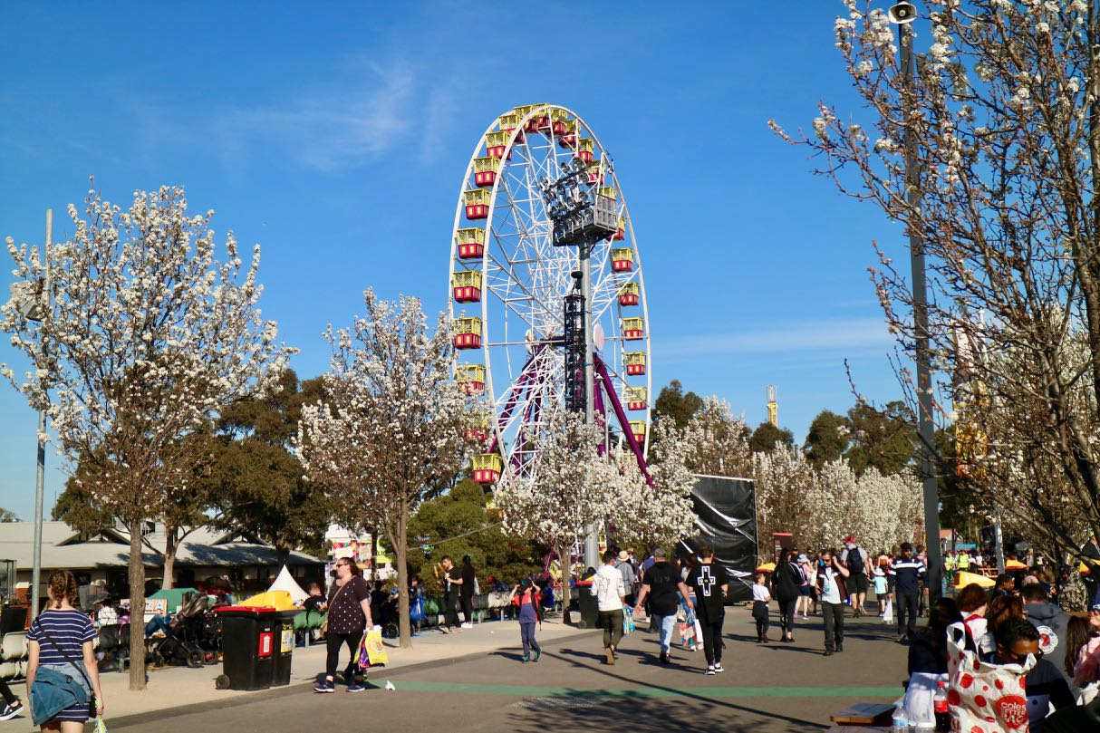 Green Gourmet Giraffe: Royal Melbourne Show 2018