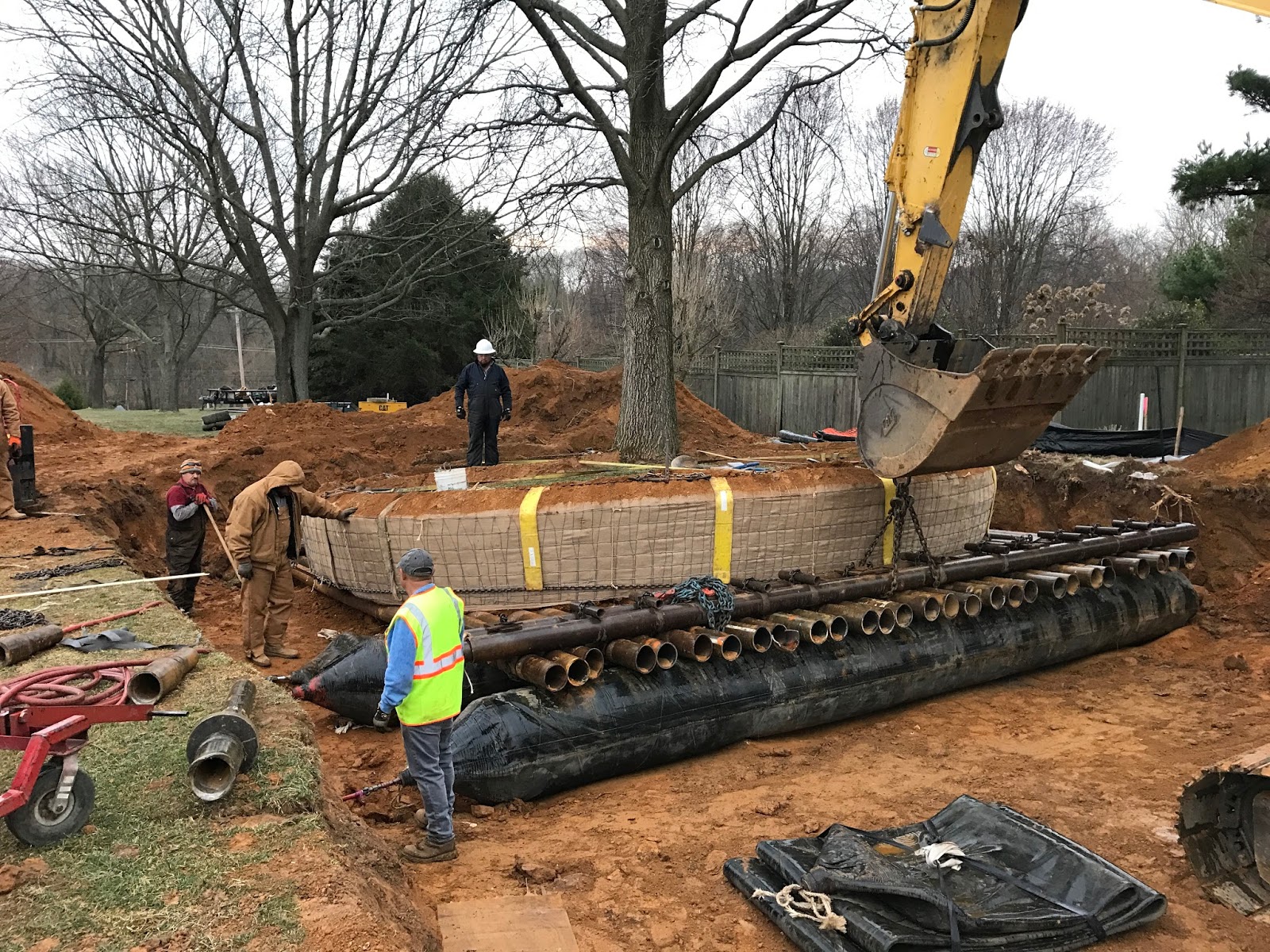 .: Tree Transplanting on Wissahickon Course
