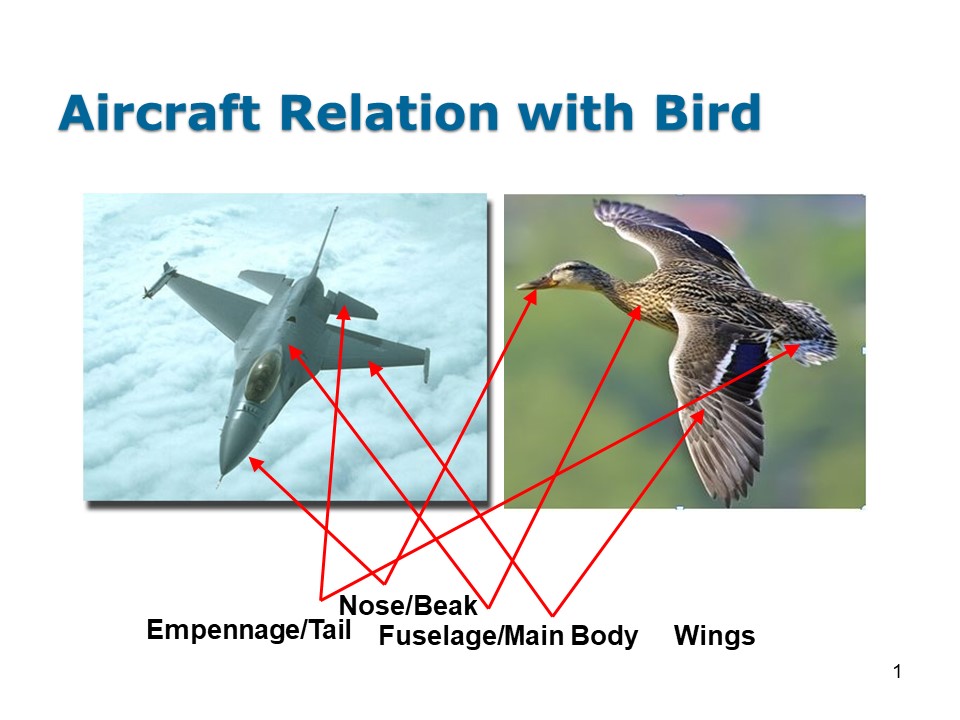 Main Parts Of Aircraft Fuselage, wing, Aileron, Elevator, Rudder ,Flaps ...