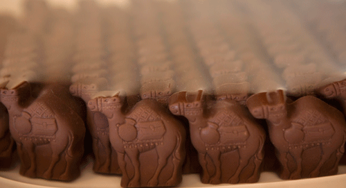 Golden Backstage: Finissimo cioccolato al gusto di latte di cammello