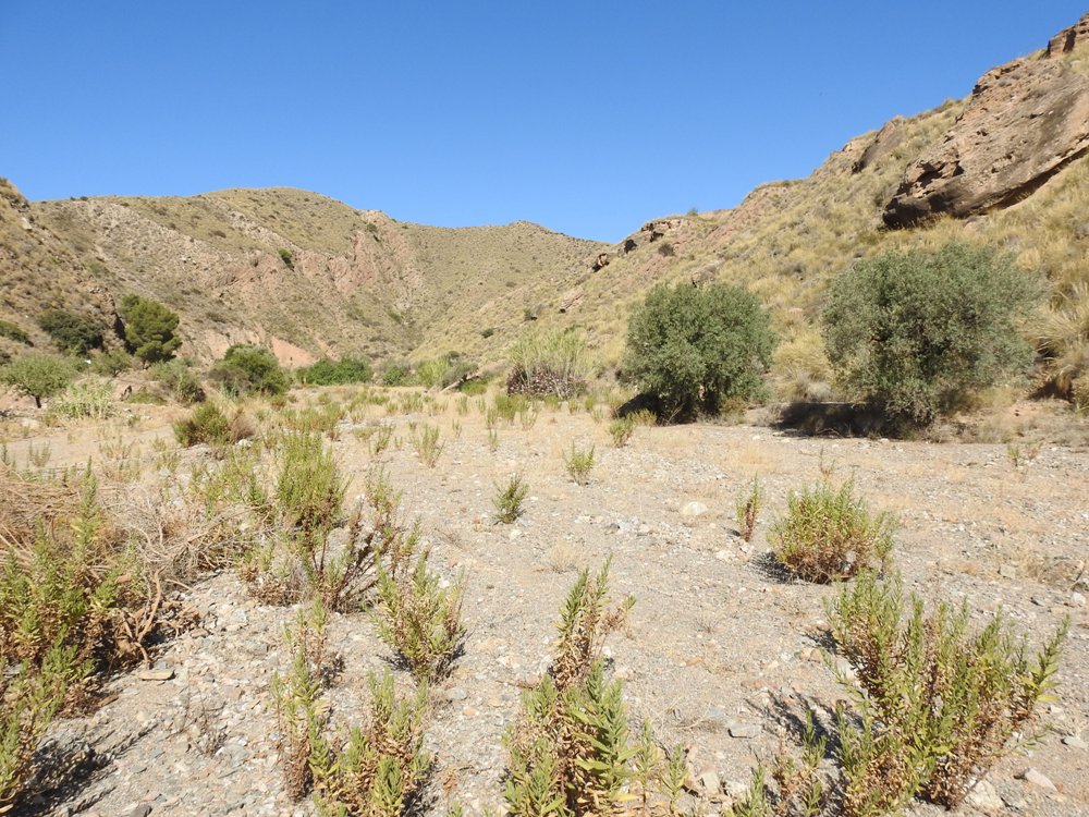 SaLiDaS a La NaTuRaLeZa: Goñar y alrededores