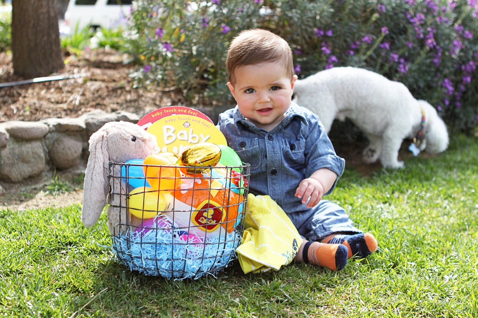 Queso for Consideration