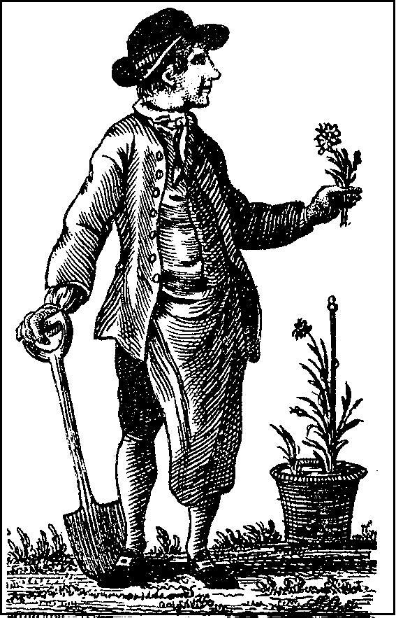 Plants & Gardens in Colonial & Early America: Botany - Development of ...