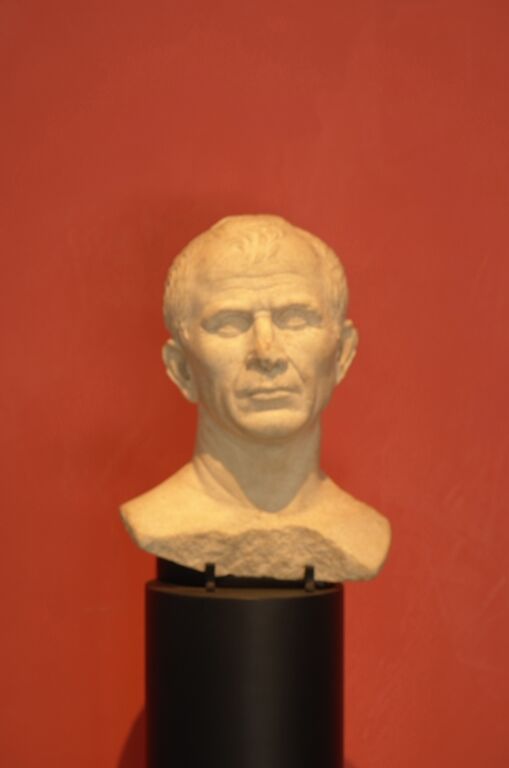 Was Napoleon Italian? - Italy Invades