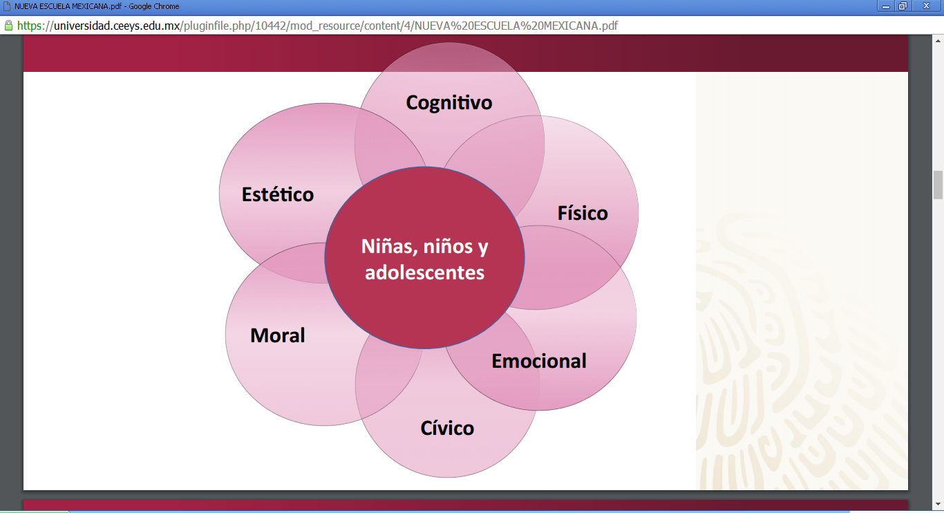 NUEVA ESCUELA MEXICANA: ¿QUÉ ES LA NEM?