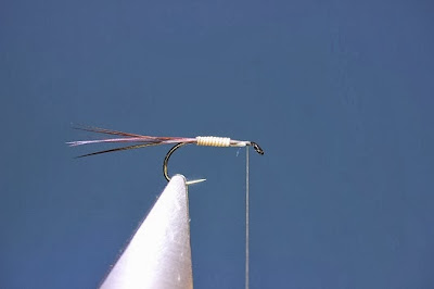 Niklas Dahlin -Flytier: Grey Fox Variant