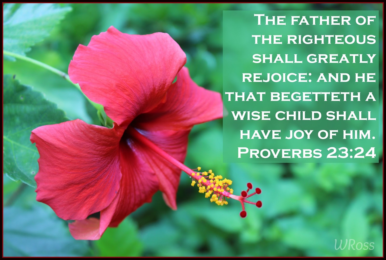 Life at Rossmont: Scripture and a Snapshot, June 19