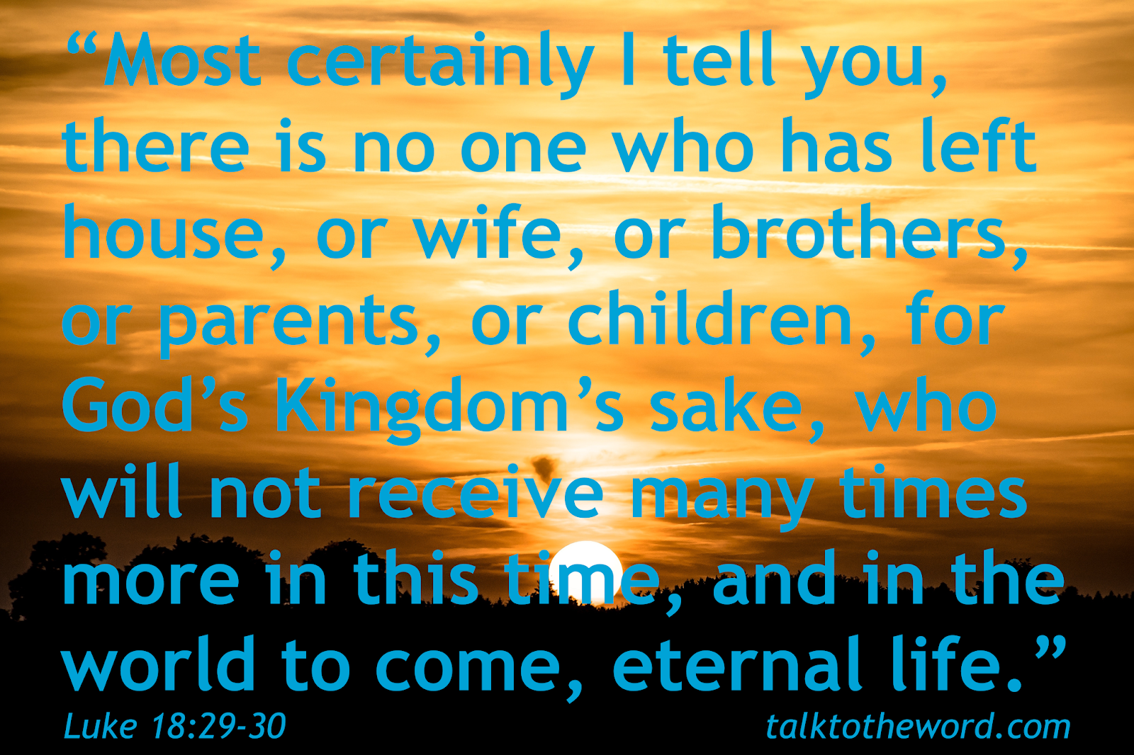Luke 18 29 30