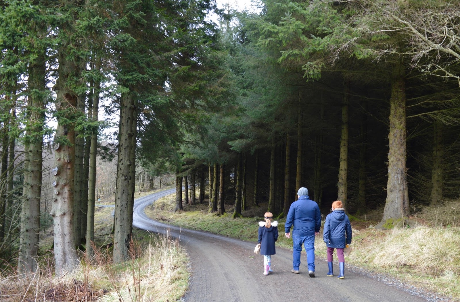 Try the FREE Zog Trail at Kielder Forest | North East Family Fun