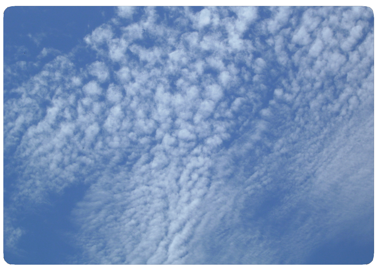 Les nuages: Les diffèrentes formes de nuages