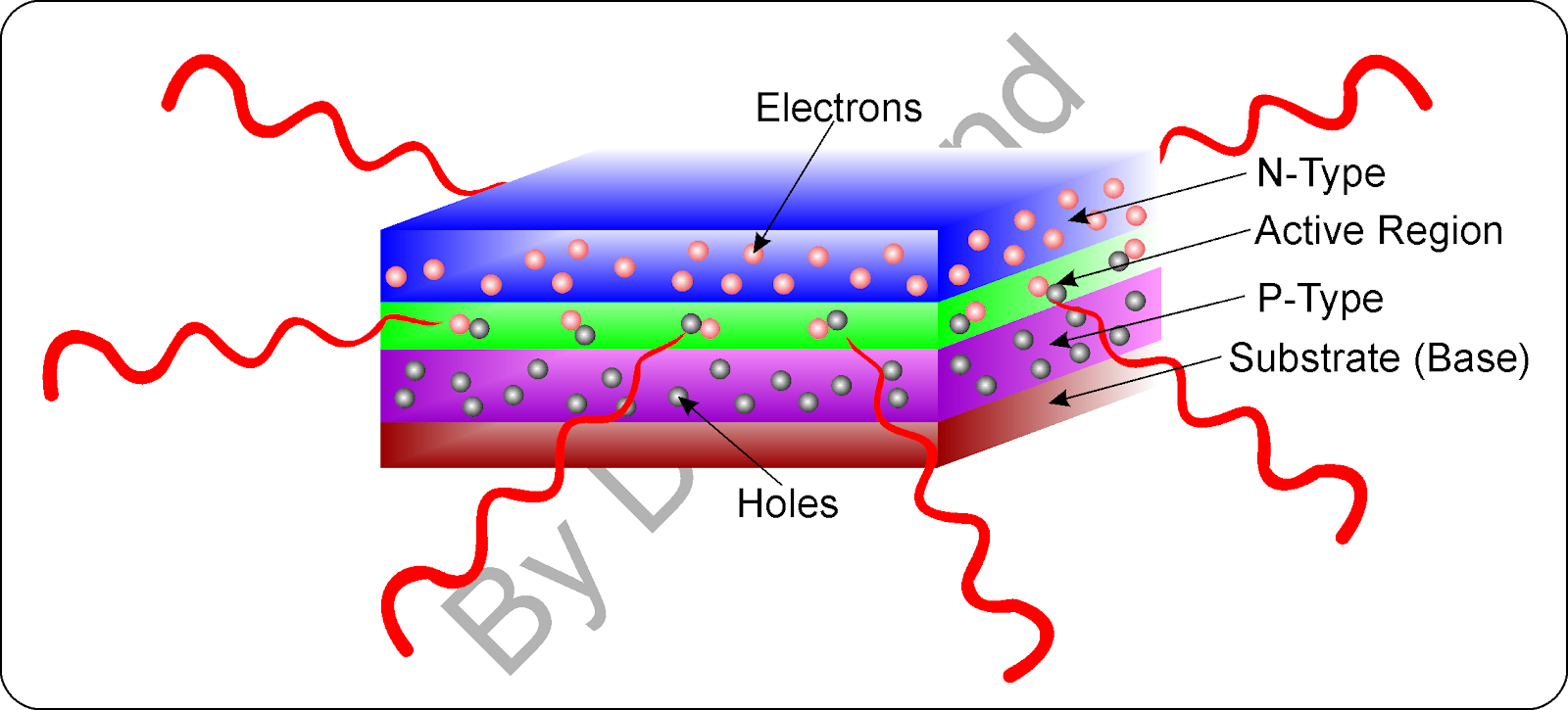 LED and 7-Segment Display
